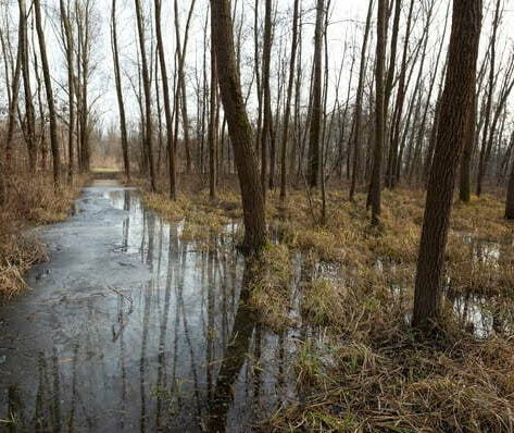 Navigating Water Coverage